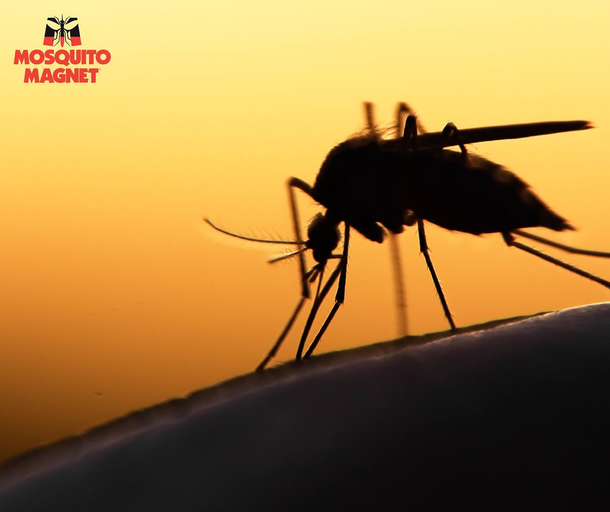 Mosquito Magnet: la trappola per le zanzare - Agrimondo